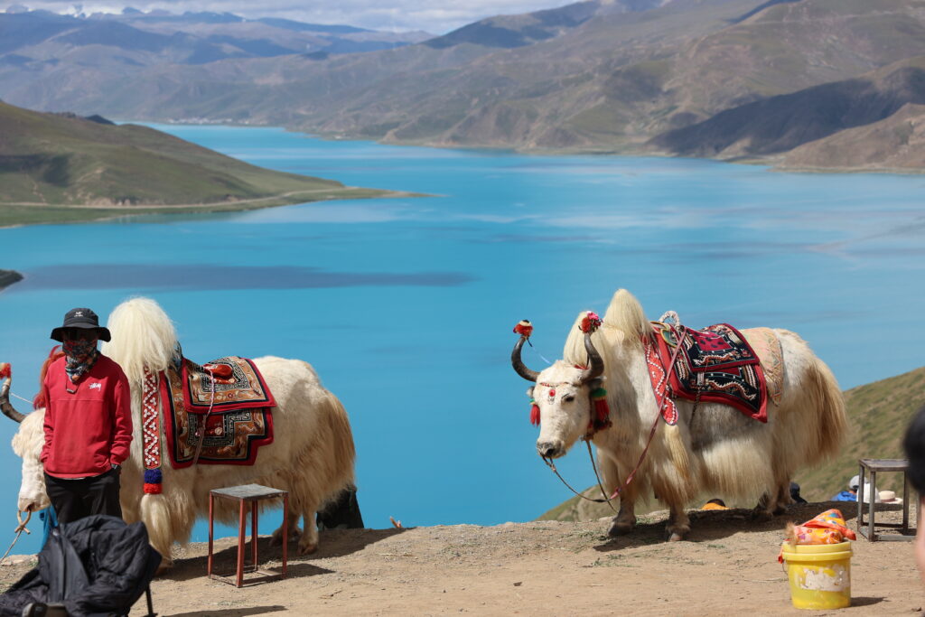 Viagem para o Tibete: guia completo, dicas e roteiro no “Teto do Mundo ...