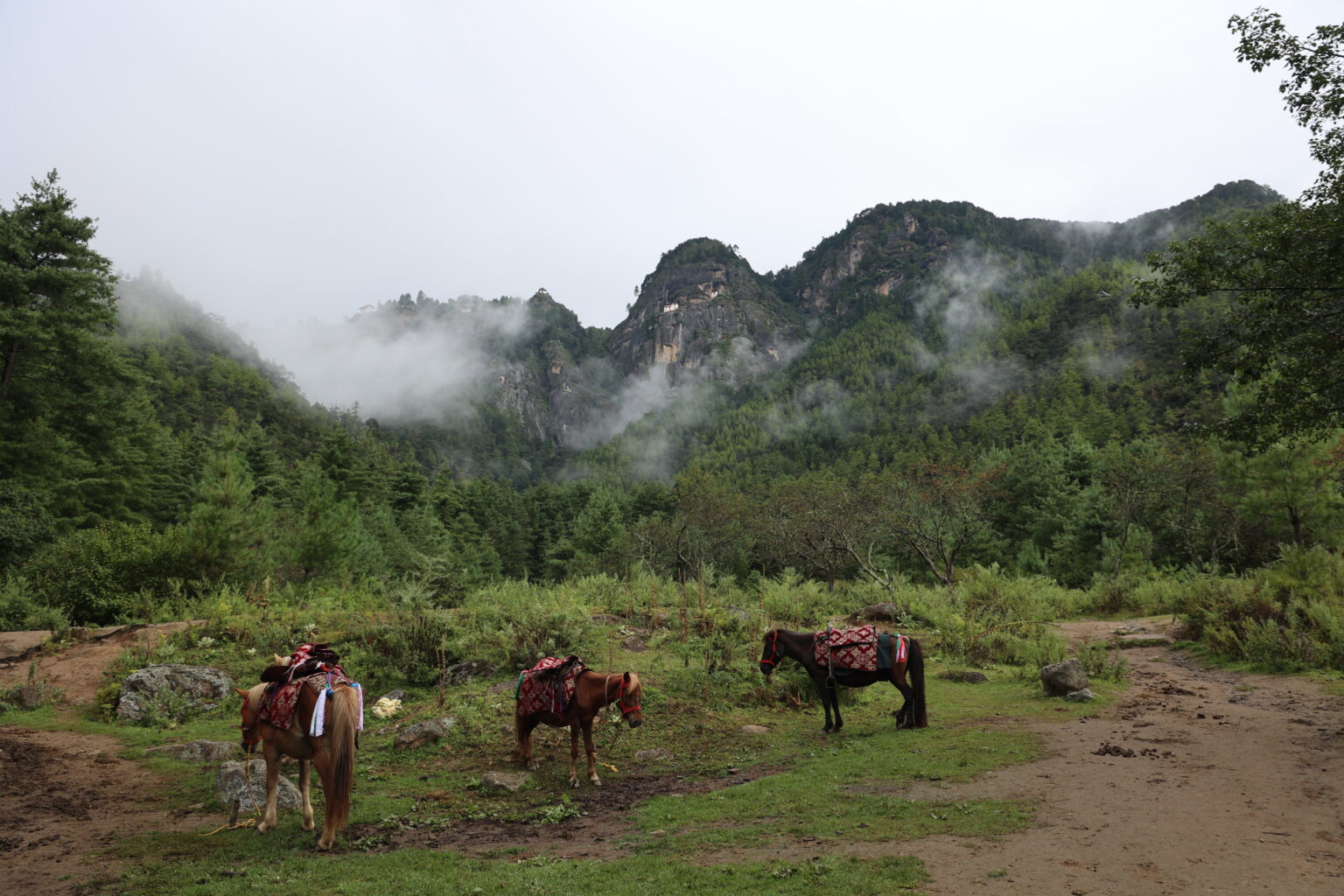 O Ninho do Tigre: O templo mais sagrado no Butão - 25 de fevereiro de 2025
