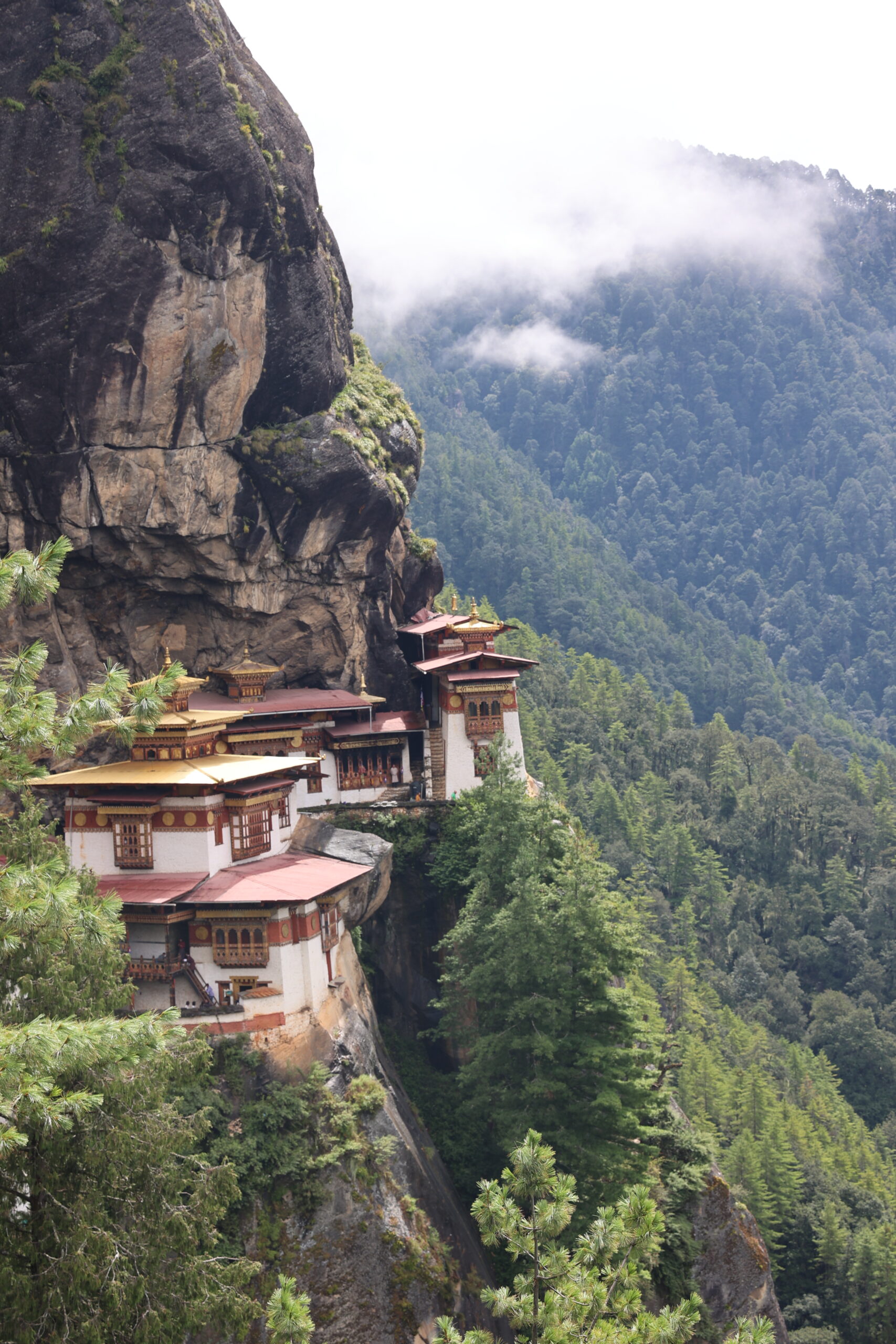 O Ninho do Tigre: O templo mais sagrado no Butão - 25 de fevereiro de 2025